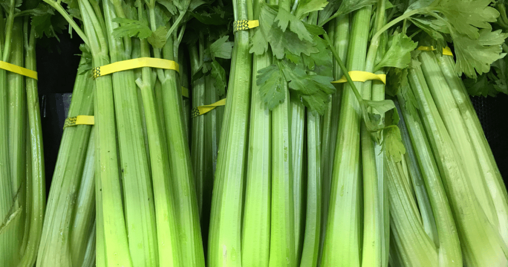 Sanaa Kelley of Reel Foley Sound talks all things foley - New 32 Productions